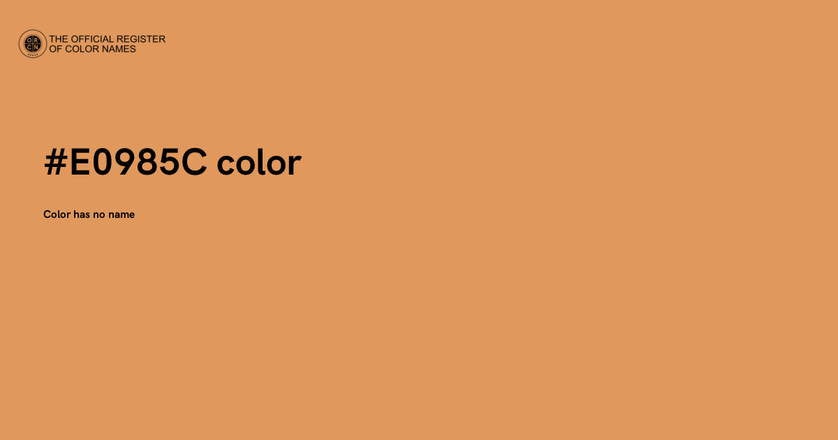 Color #E0985C - The Official Register of Color Names